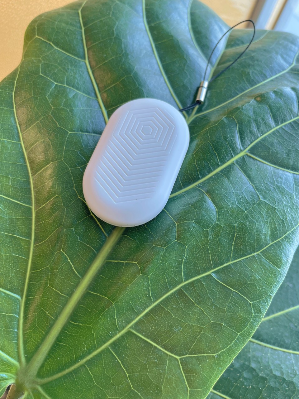 อุปกรณ์พกพาเพื่อตรวจหาการสัมผัสโควิด19 EC Trace Token